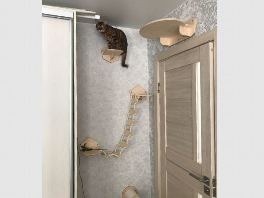 Кошачий настенный комплекс:полка, когтеточка