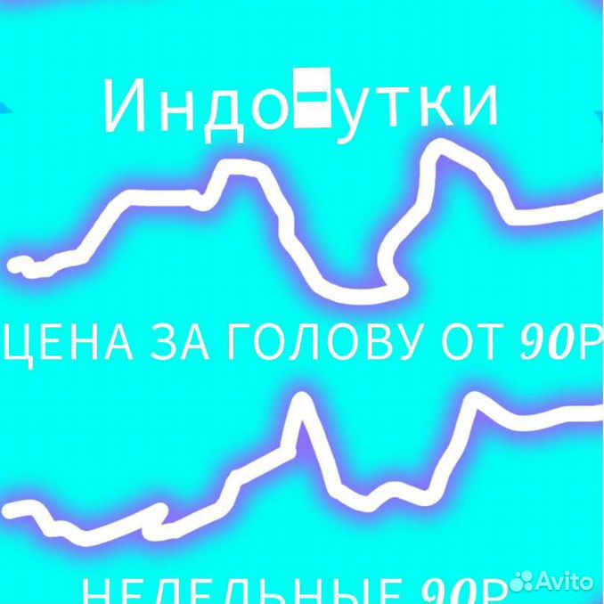 Индо-утки