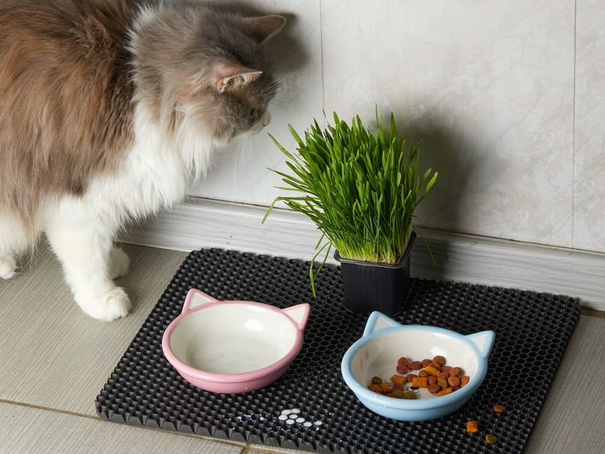 Коврик Эва 51х37.5