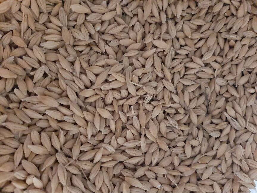 Комбикорм пшеница