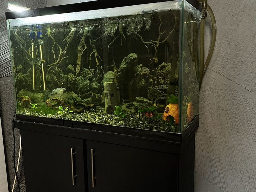 Аквариум 100 с тумбой