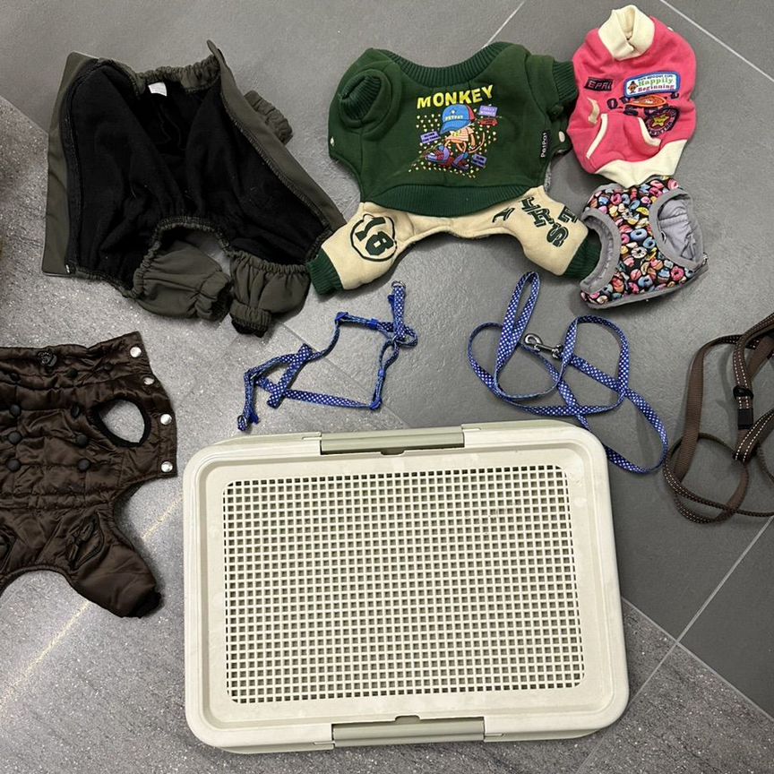 Одежда для собак