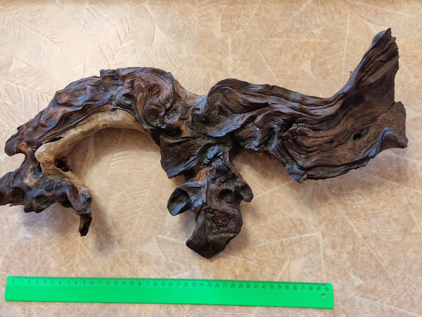 Мангровые коряги 50+см, песчаник и автокормушки