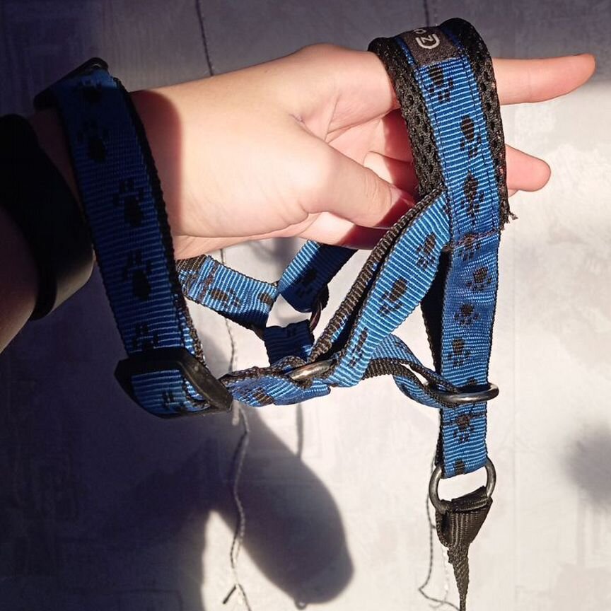 Халти для собак