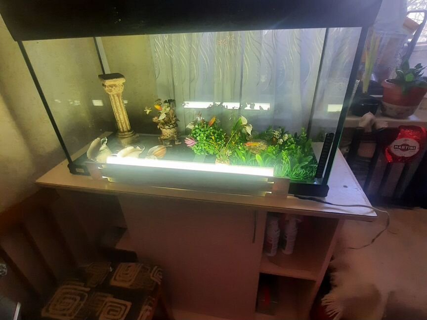 Аквариум с тумбой бу 100.л