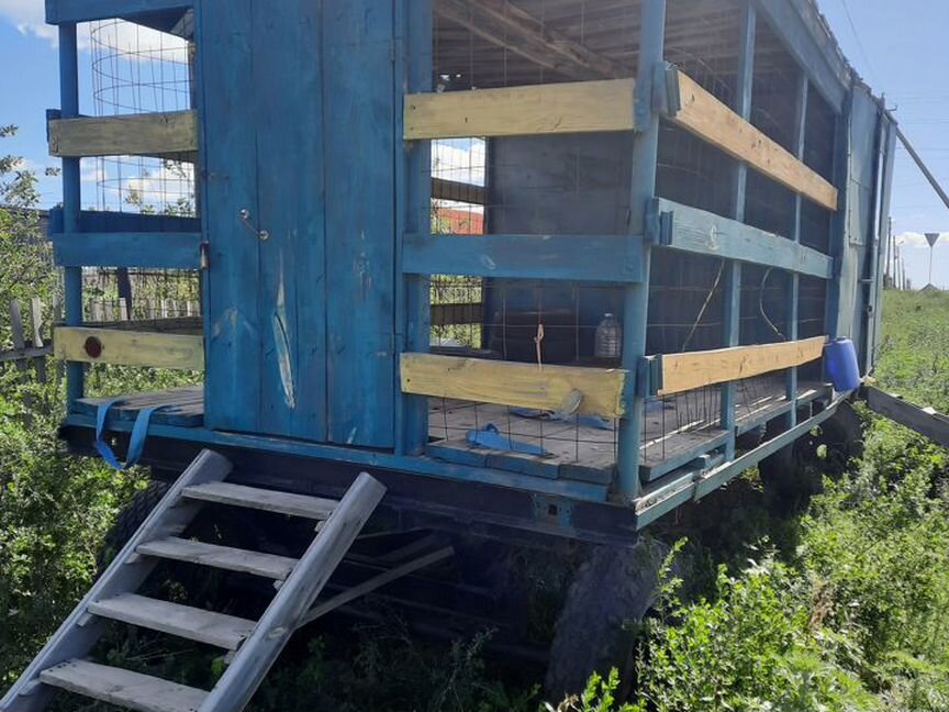 Пчелопавильон