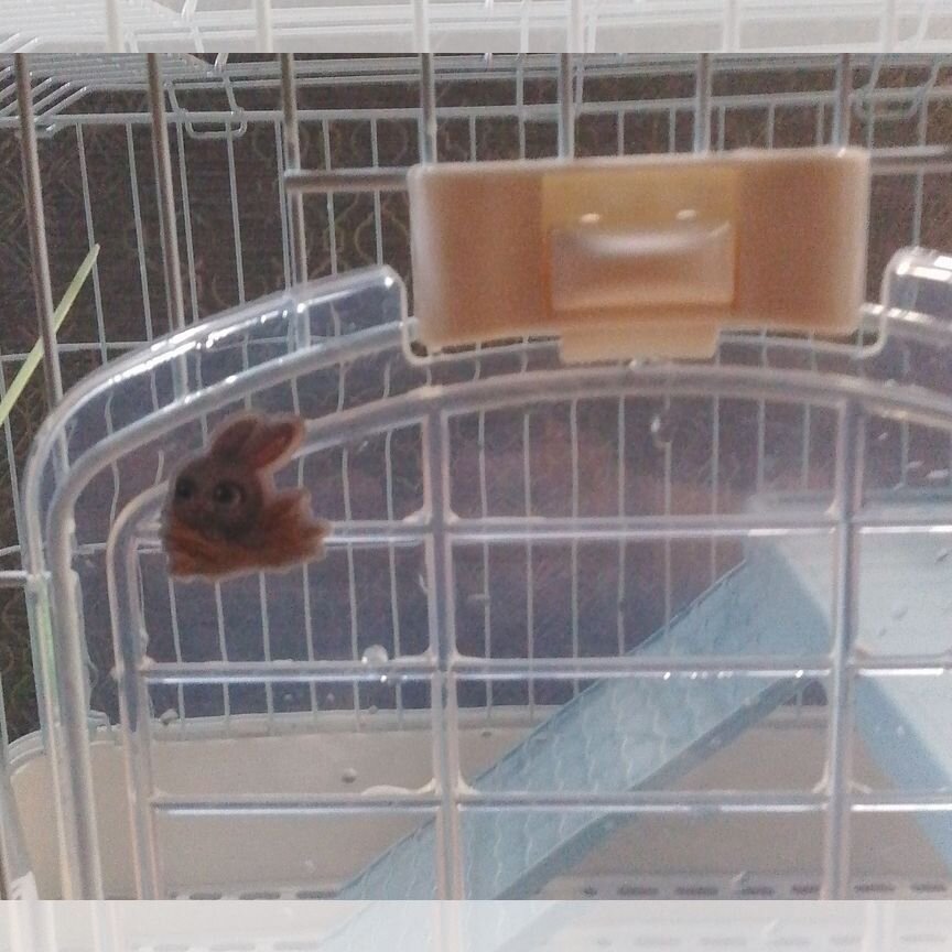 Клетка для грызунов