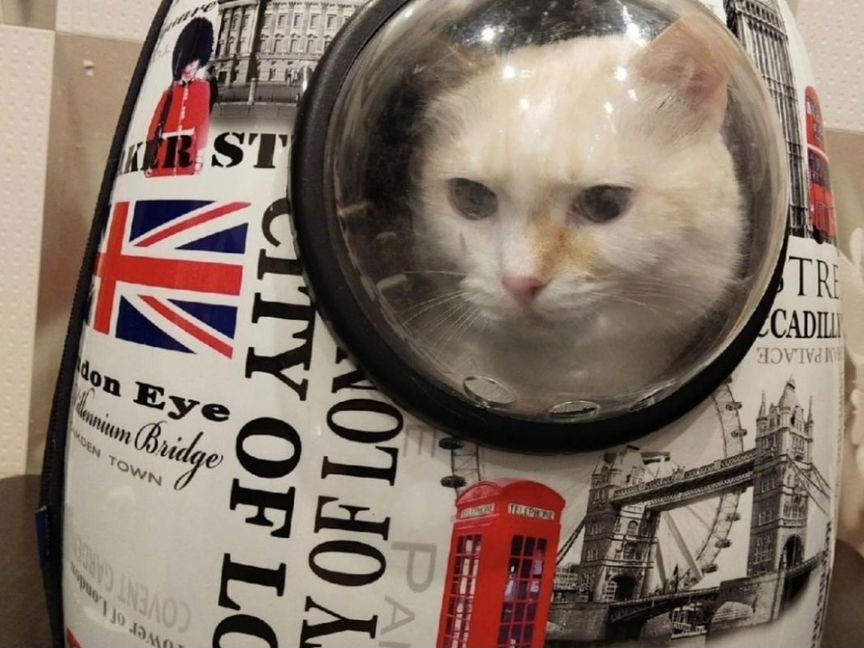 Рюкзак-переноска