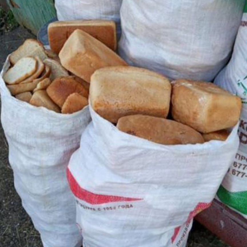 Корм для животных