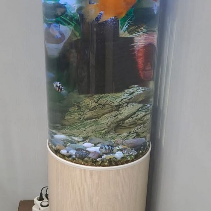 Аквариум цилиндр с тумбой бу