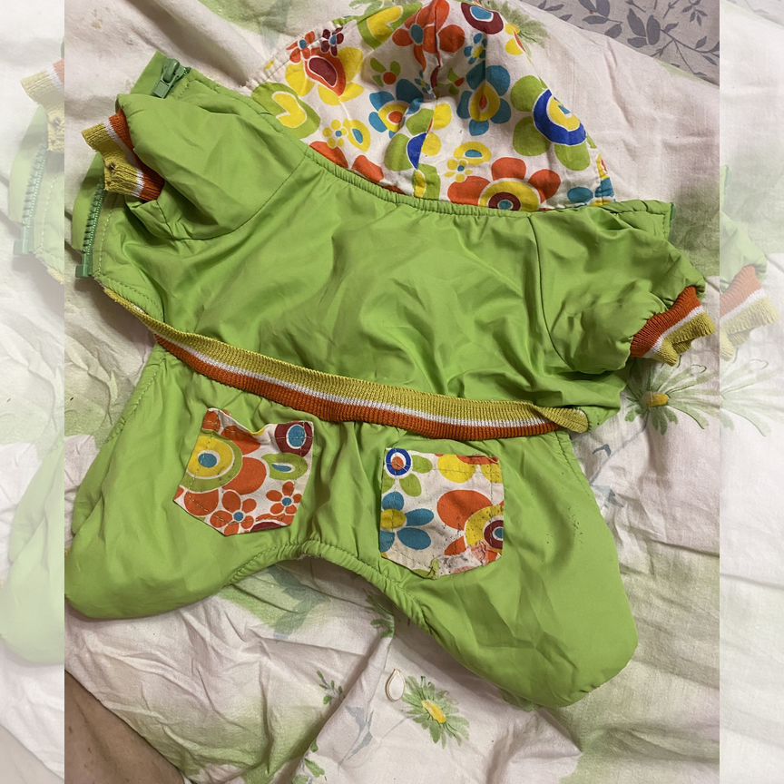 Костюм для чихуахуа