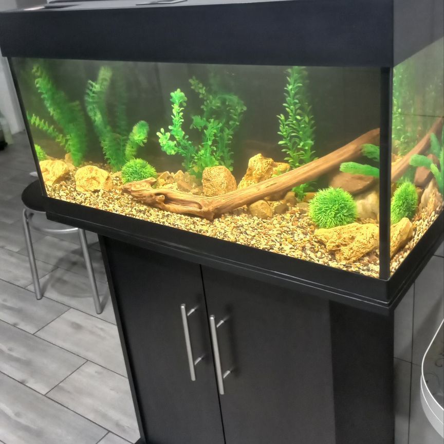 Аквариум Juwel 120л с тумбой