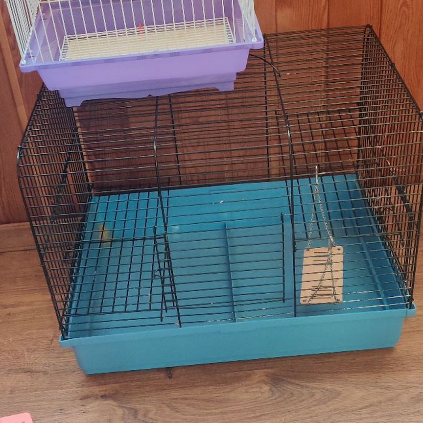 Вещи для джунг. и сир. хомяка бесплатно