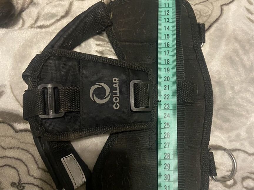 Шлейка для собаки collar нейлоновая