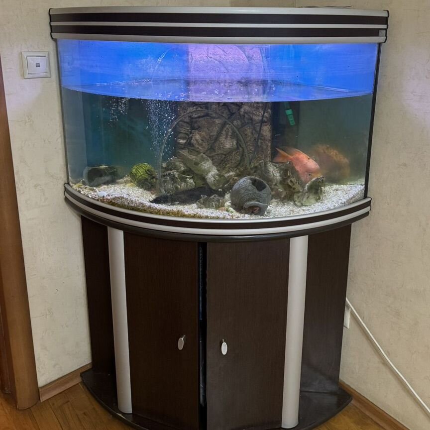 Аквариум 200 литров в тумбой
