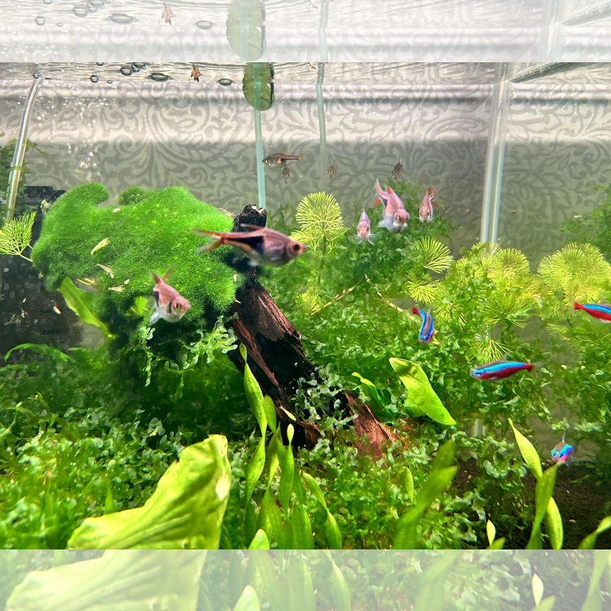 Аквариум 90 литров