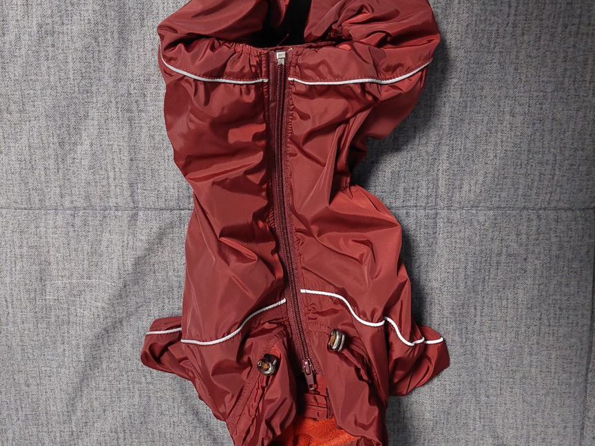 Два комбинезона для собак