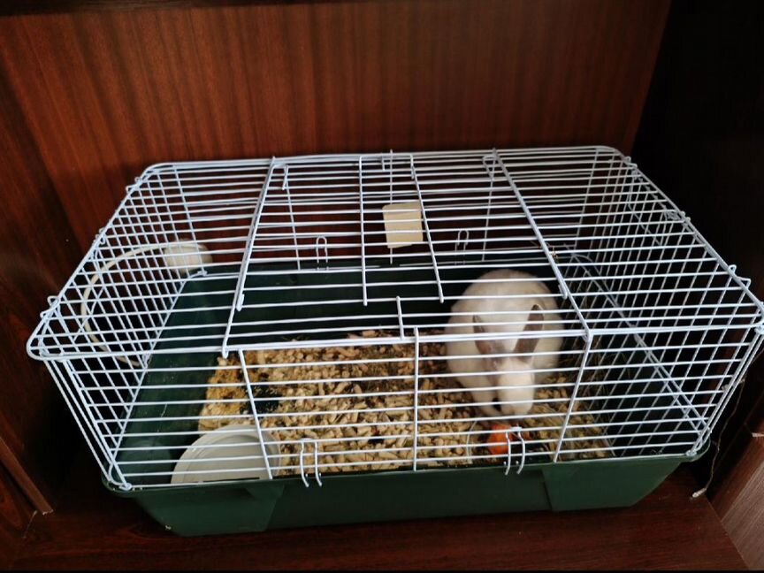 Клетка для кролика укомплектованная полностью