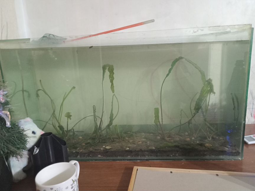 Украшение для аквариума