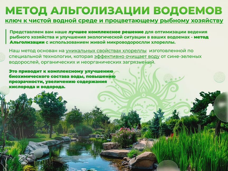 Хлорелла для прудов