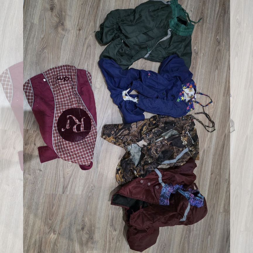 Вещи на собаку