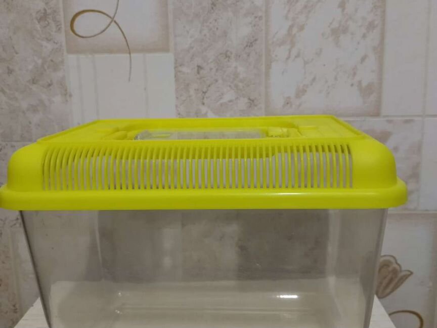 Переноска-аквариум -террариум