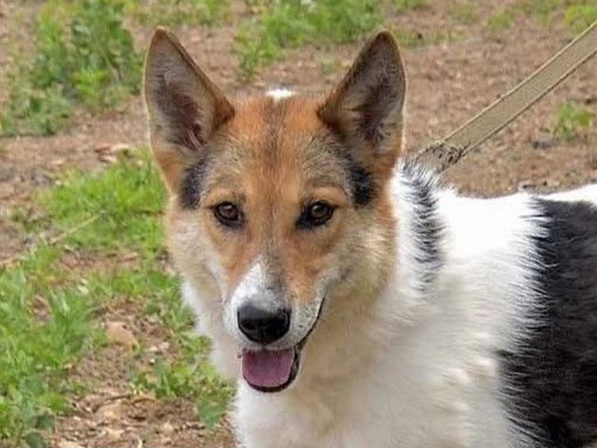 Яркая красотка Саяна