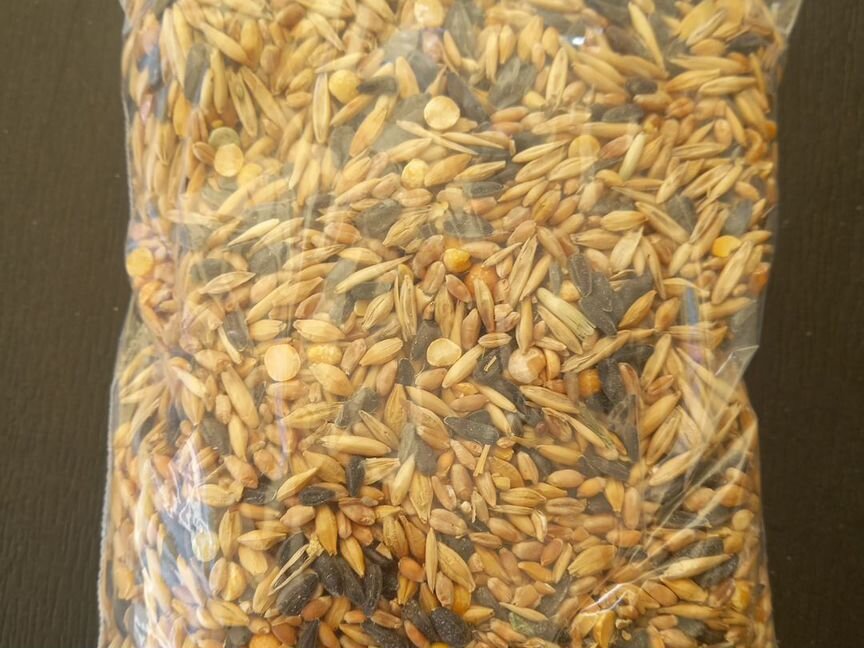 Корм для животных и птиц