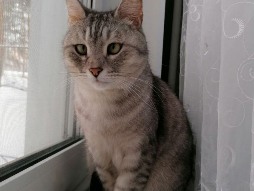 Василий