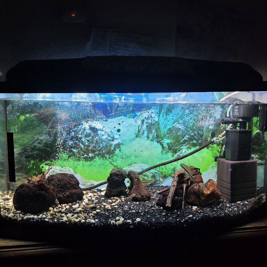 Аквариум Aquael 105л полусфера