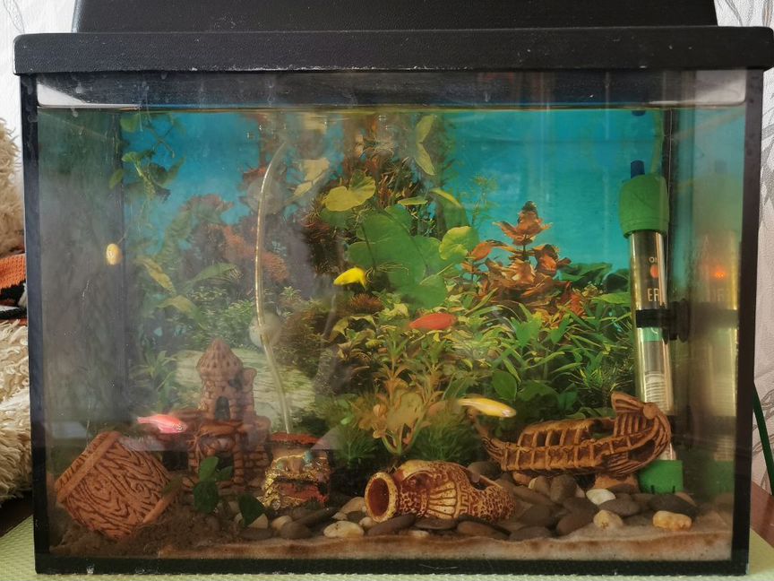 Аквариум