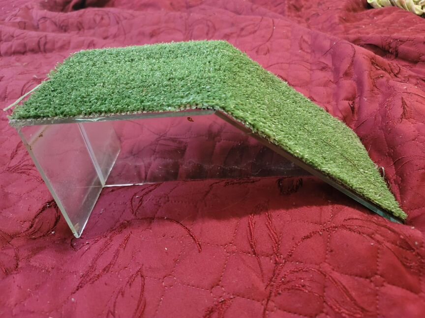 Мостик для черепахи