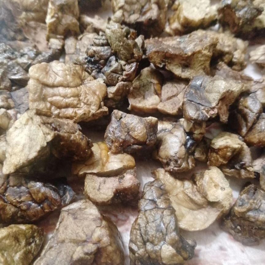 Говяжье лёгкое