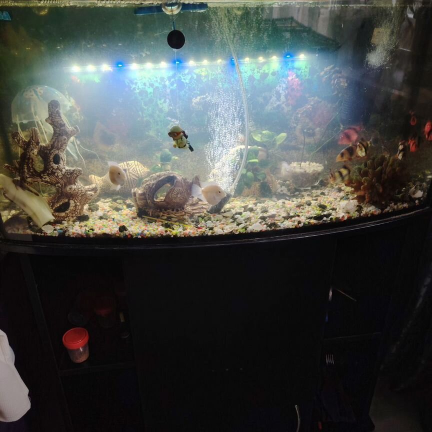 Украшение для аквариума