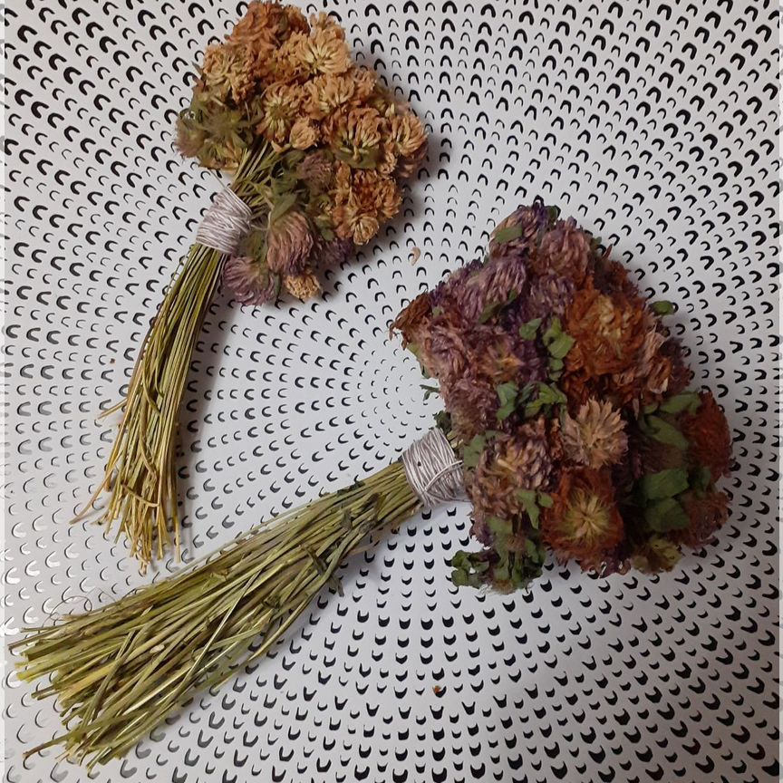 Копошилка для попугаев и грызунов