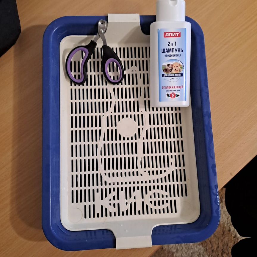 Кошачьи принадлежности