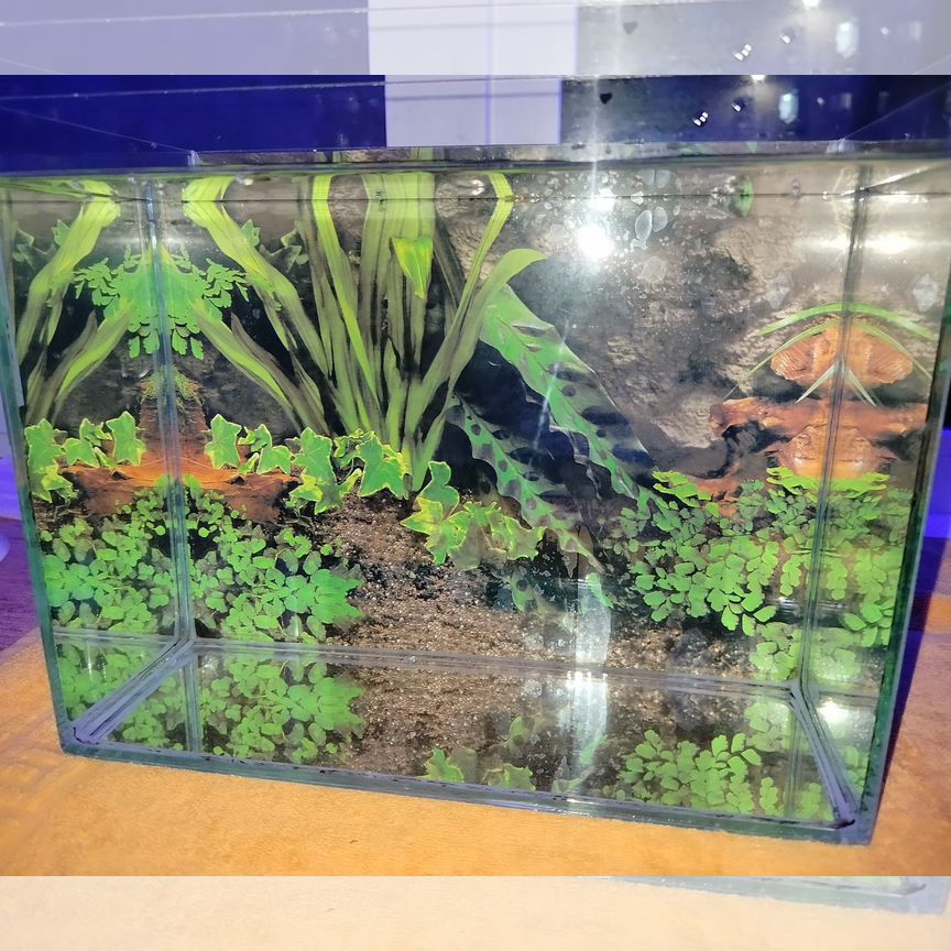 Аквариум 11л с мальками