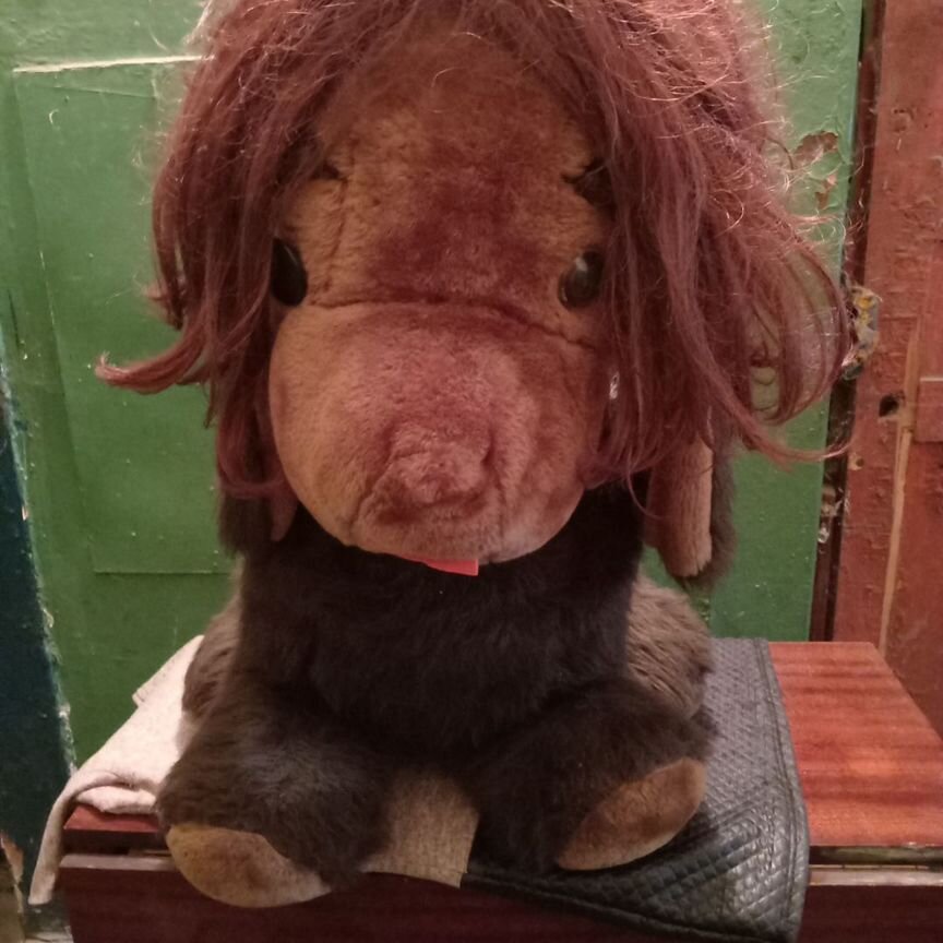 Большая собака