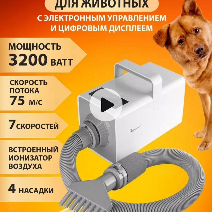 Фен для груминга