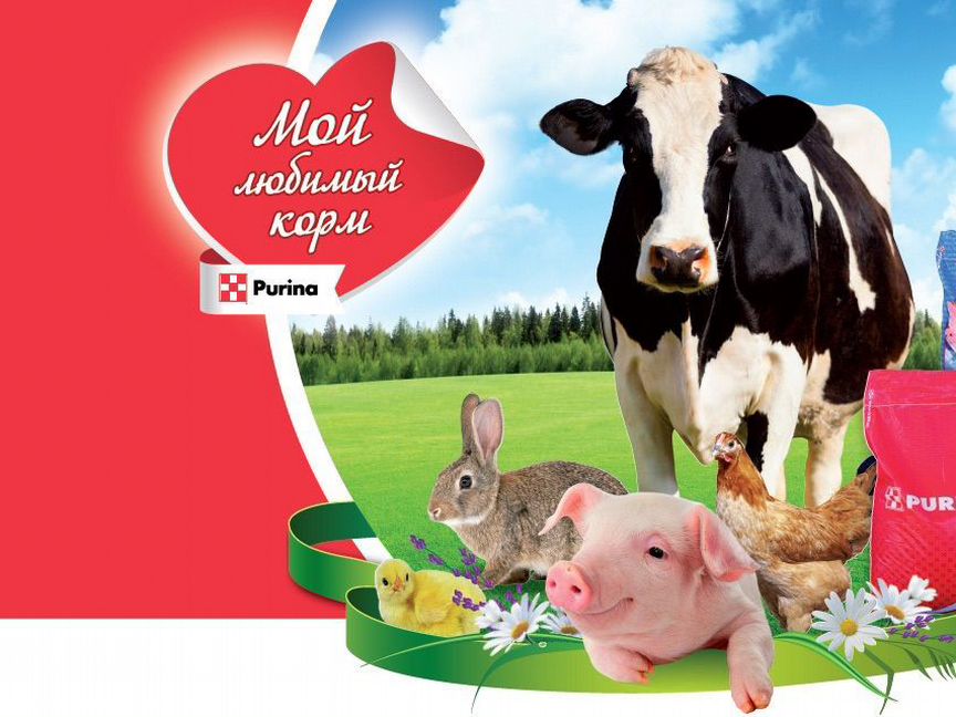 Корм Purina (Пурина) с доставкой на дом