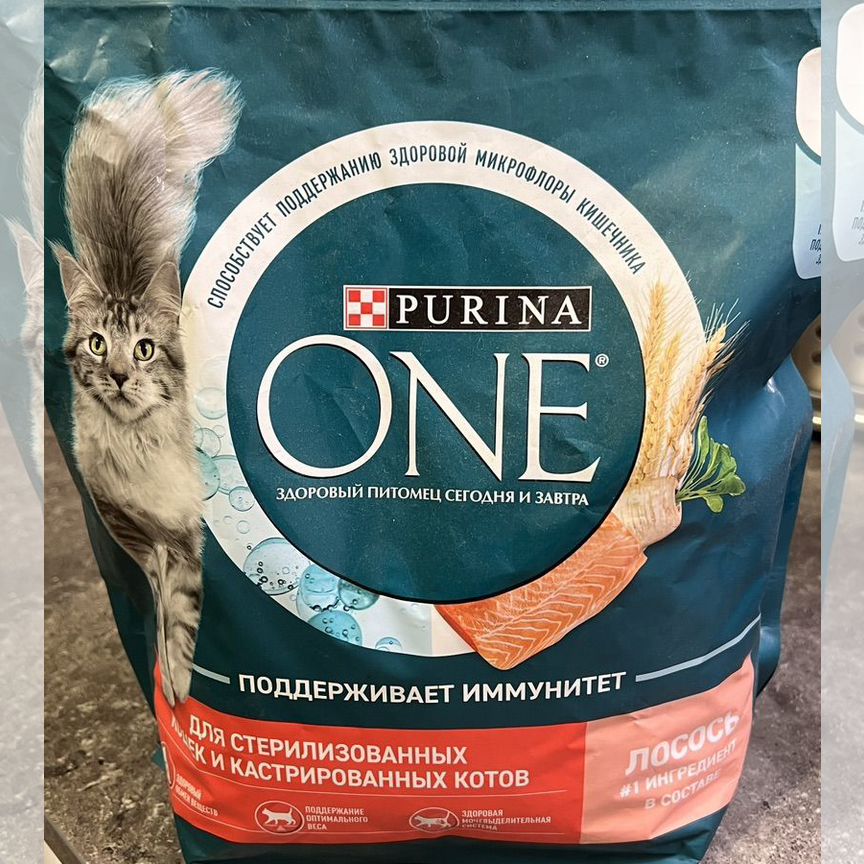 Сухой корм для кошек