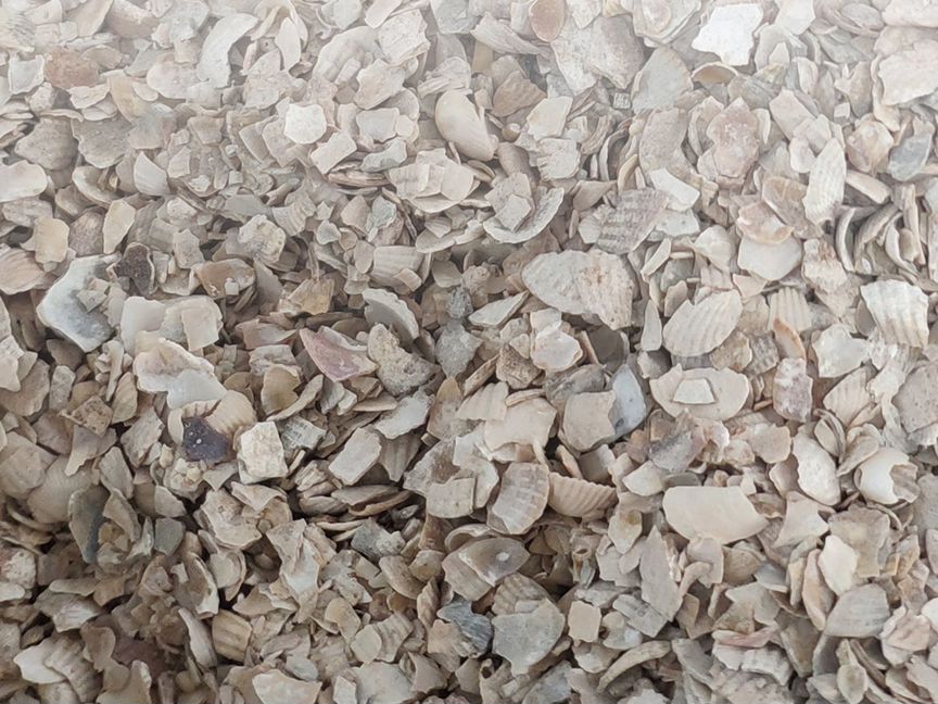 Ракушка, дрожжи, мел, мясокостн., рыб., кров. мука