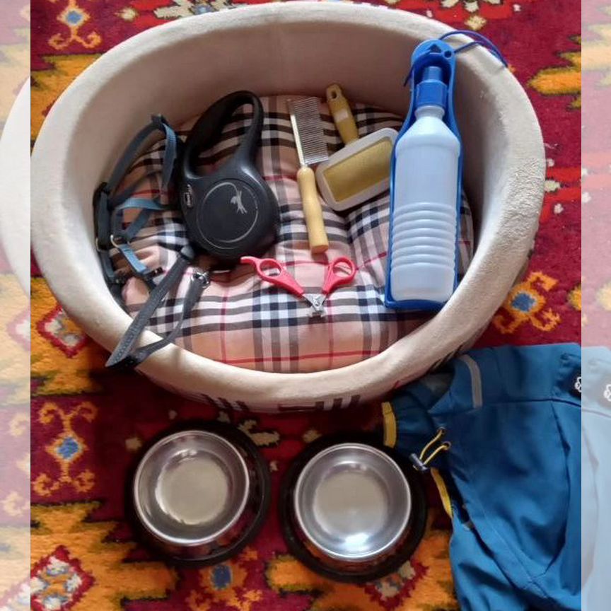 Лежанка для маленьких собак
