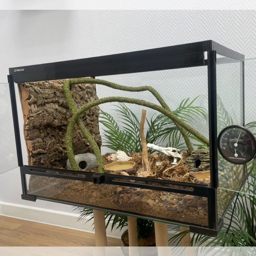 Стеклянный террариум