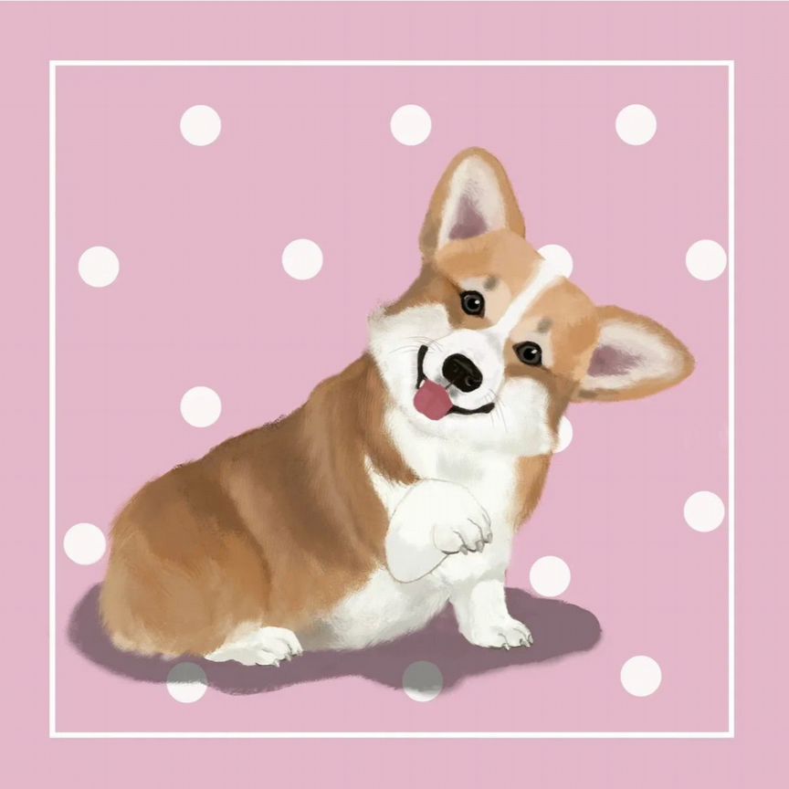 Корги мальчики щенки Супер класс