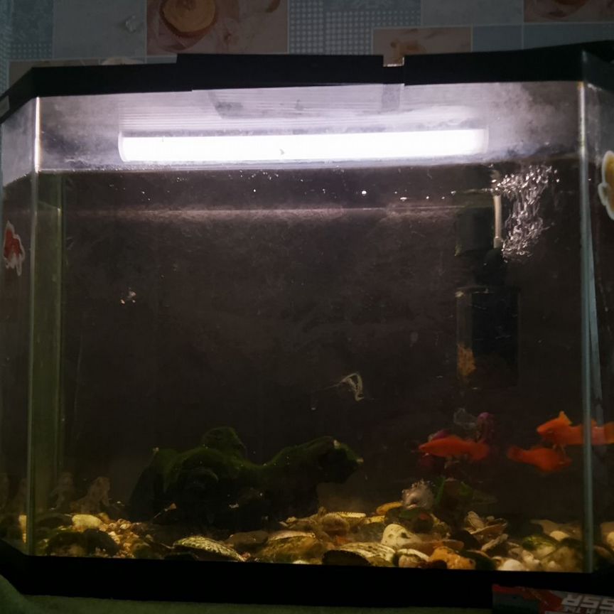 Продам аквариум бу
