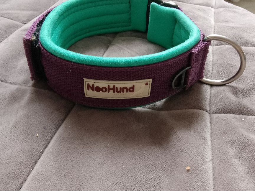 Ошейник и поводок