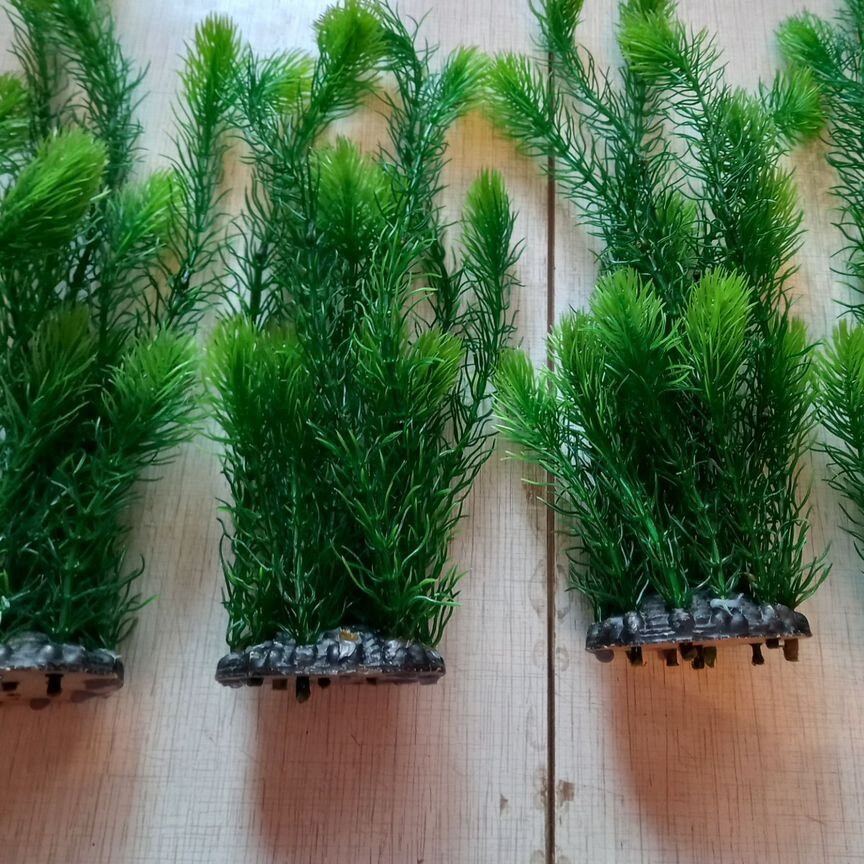 Растения для аквариума