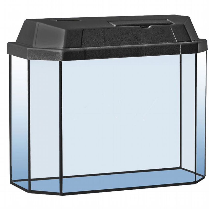 Все для аквариума