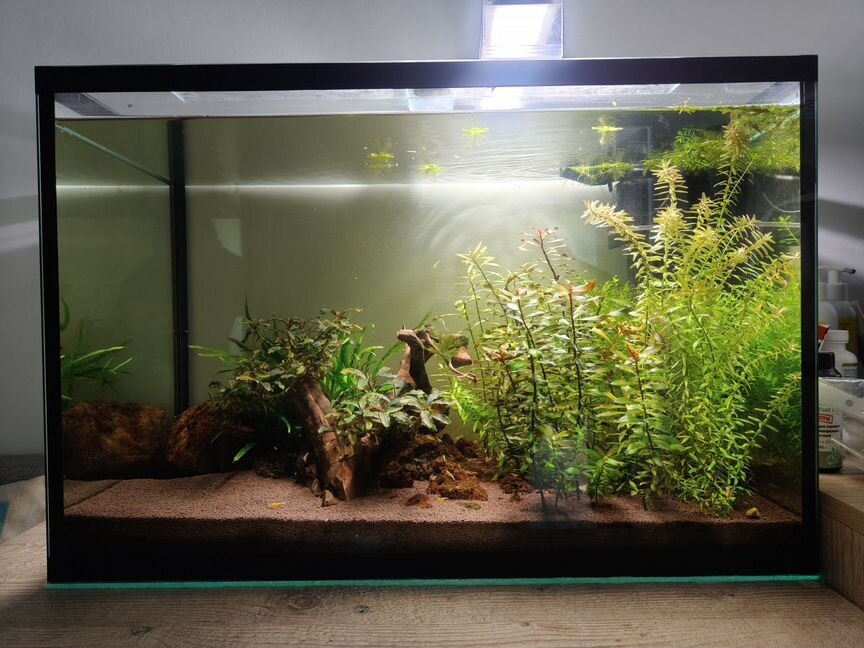 Аквариум 80 литров